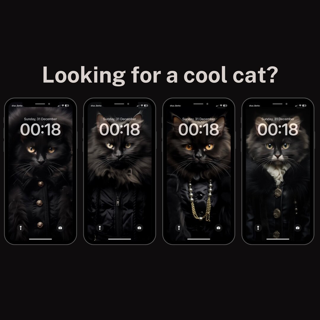 Cool Black Cat, Cat Wallpaper, Phone Wallpaper, Mobile Wallpaper, Phone ...