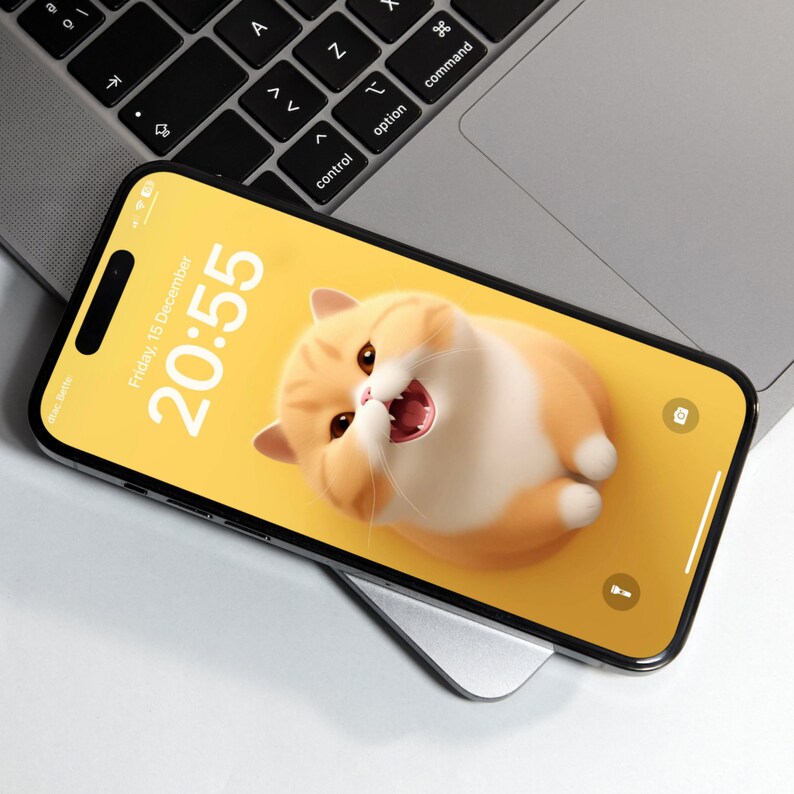 Yellow Cat, Fat Cat, Cute, Kitten, Cat Wallpaper, Phone Wallpaper ...