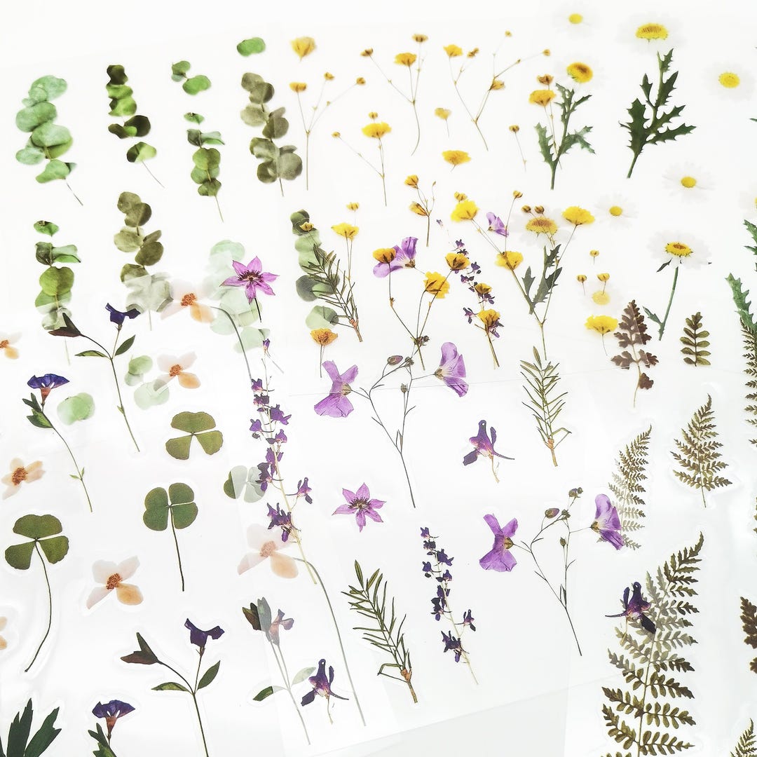 Wildflower Sticker Sheet, Botanical Planner Stickers, Eucalyptus, Daisy ...