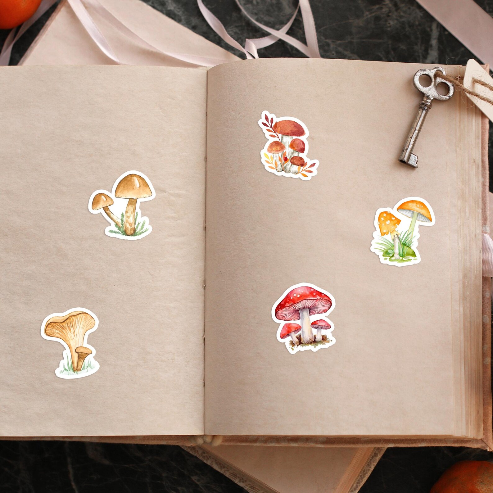 25 Mushroom Stickers, Toadstool, Fungi Journal & Scrapbook Planner ...