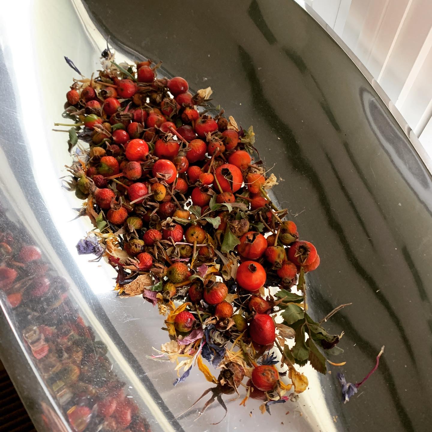 Rose Hips From Native Prairie - Etsy