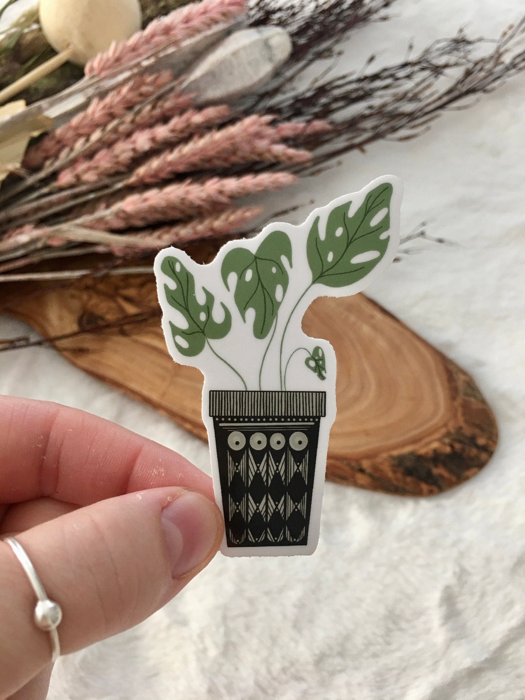 Monstera Plant Vinyl Sticker, Plant Lover Sticker - Etsy Italia