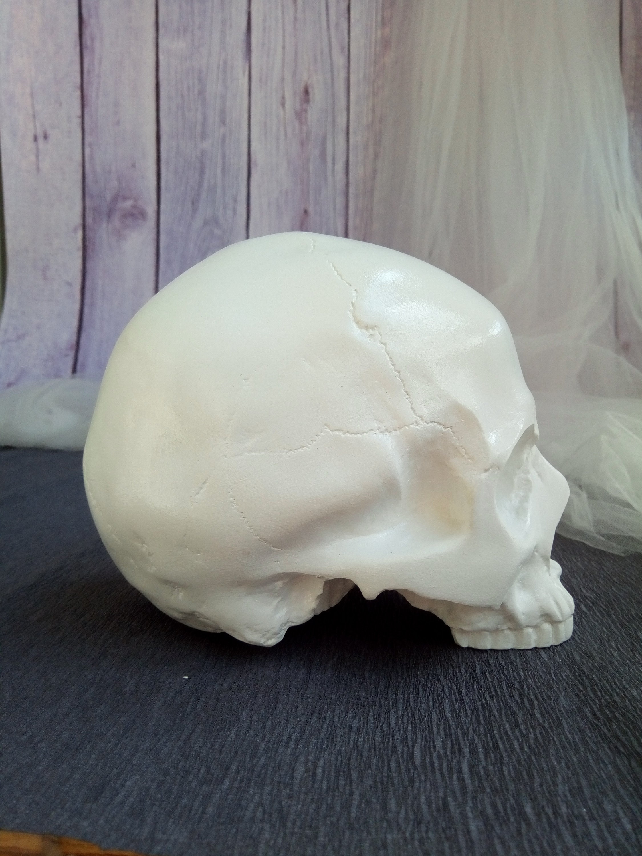 Human Skull Replica Skull Sculpture Skull Gift Decorative | Etsy