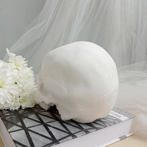 White Human Skull Replica Skull Sculpture Realistic - Etsy