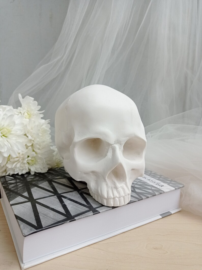 White Human Skull Replica Skull Sculpture Realistic - Etsy