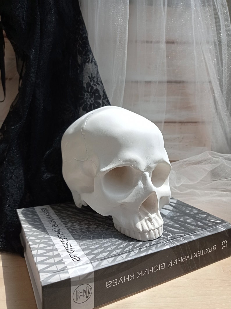 White Human Skull Replica Skull Sculpture Realistic - Etsy