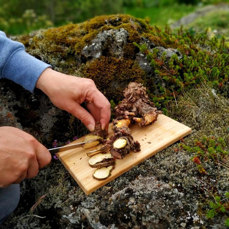 Icelandic Wild Harvested Rhodiola rosea Golden Arctic Root in slices ...