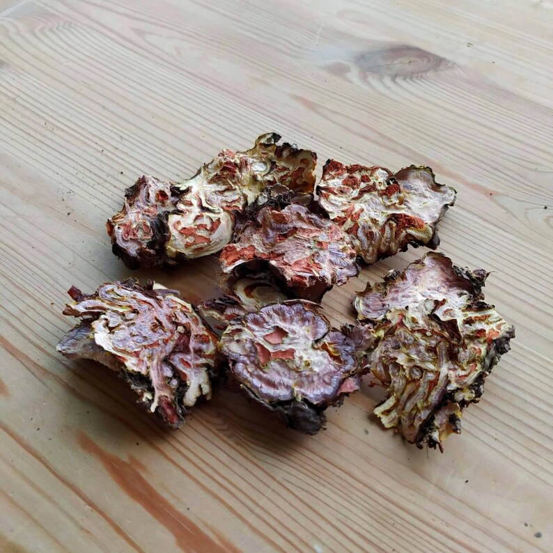 Wild Harvested Rhodiola Rosea From Iceland Golden Arctic Root in Big ...