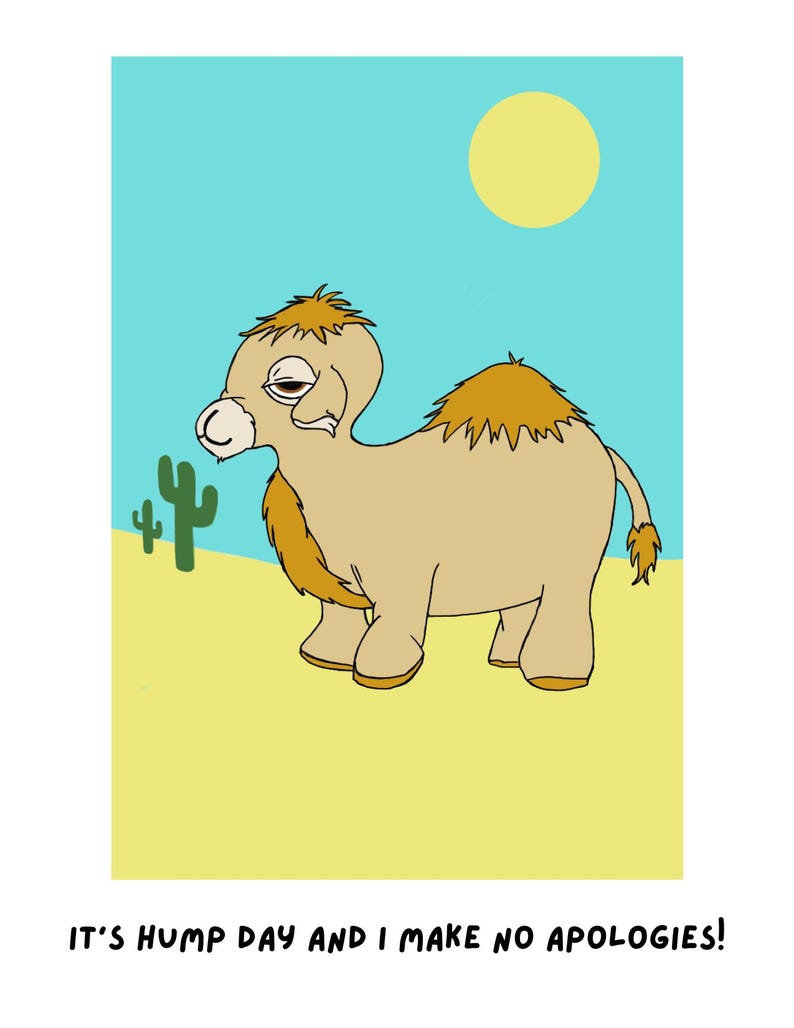 It's Hump Day and I Make No Apologies Digital Download - Etsy