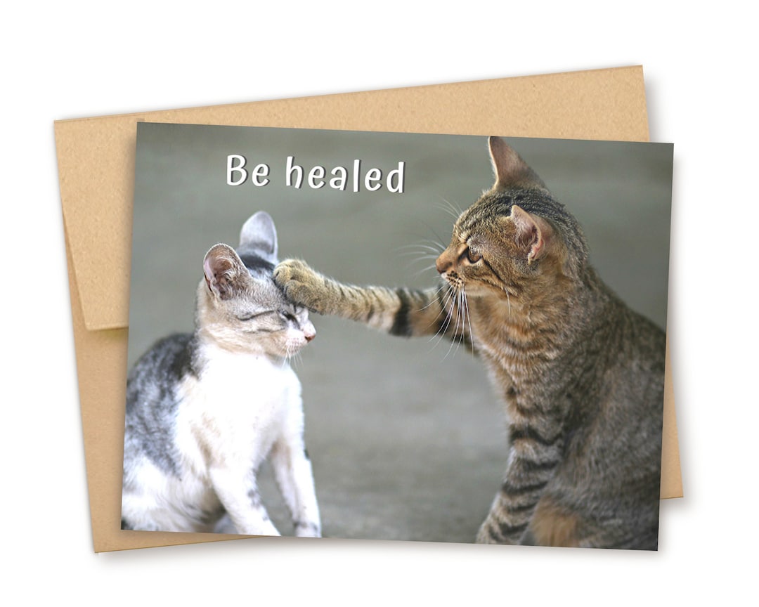 Funny Get Well Card, Feel Better Card, Sick Card, Well Wishes Card, Sympathy Card, Sick Pet Card ...