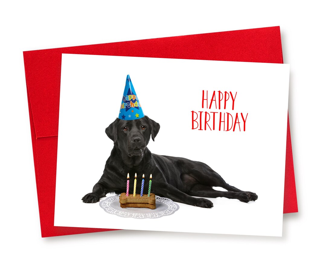Black Lab Birthday Card: Glitter Party Hat, Dog Lover - Etsy