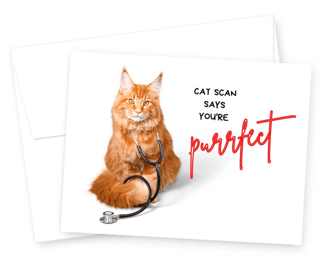 Funny Cat Scan Get Well Card: Speedy Recovery Pun - Etsy