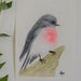 Rose Robin Watercolor Painting Watercolor Robin Watercolor - Etsy