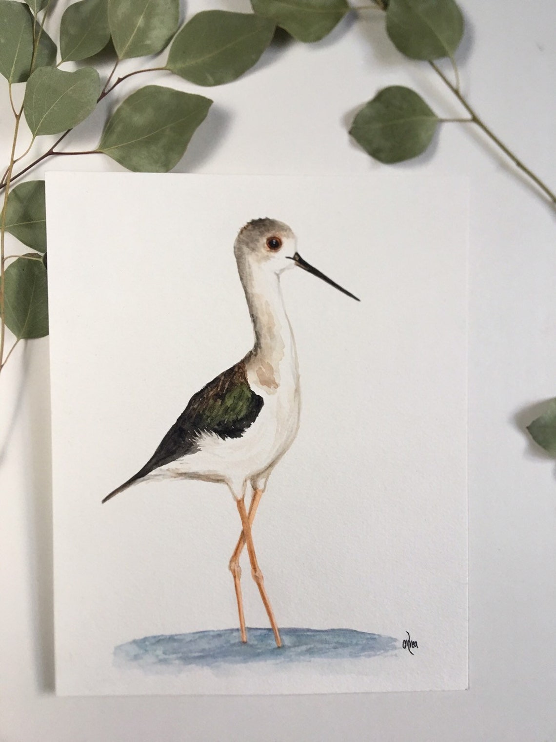 Stilt Watercolor Painting, Original Watercolor Stilt Bird by Cassie Vea ...