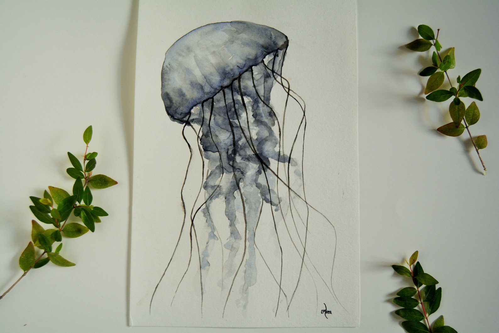 Dark Gray Jellyfish Watercolor Painting, Original Watercolor Jellyfish ...