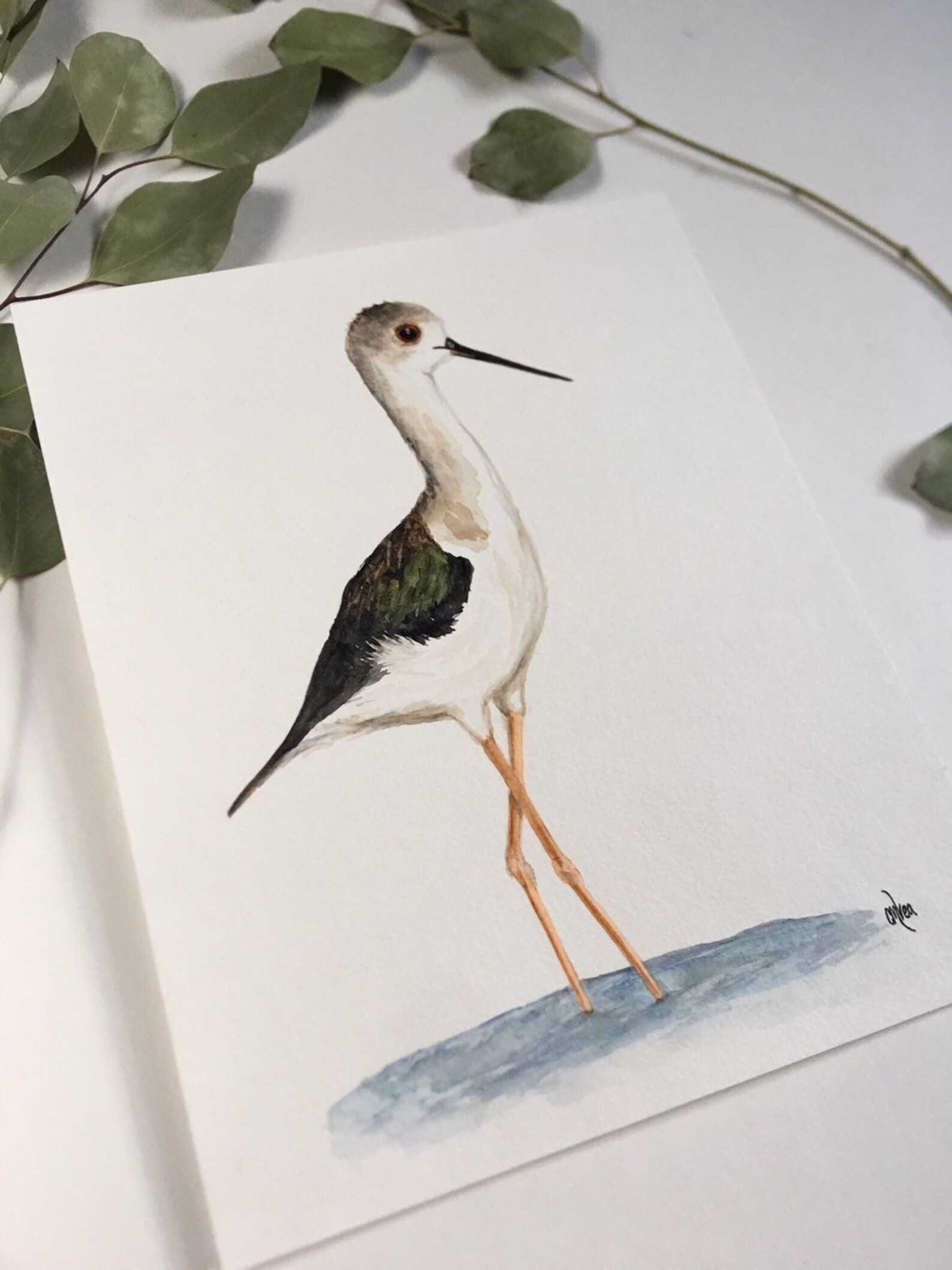 Stilt Watercolor Painting, Original Watercolor Stilt Bird by Cassie Vea ...