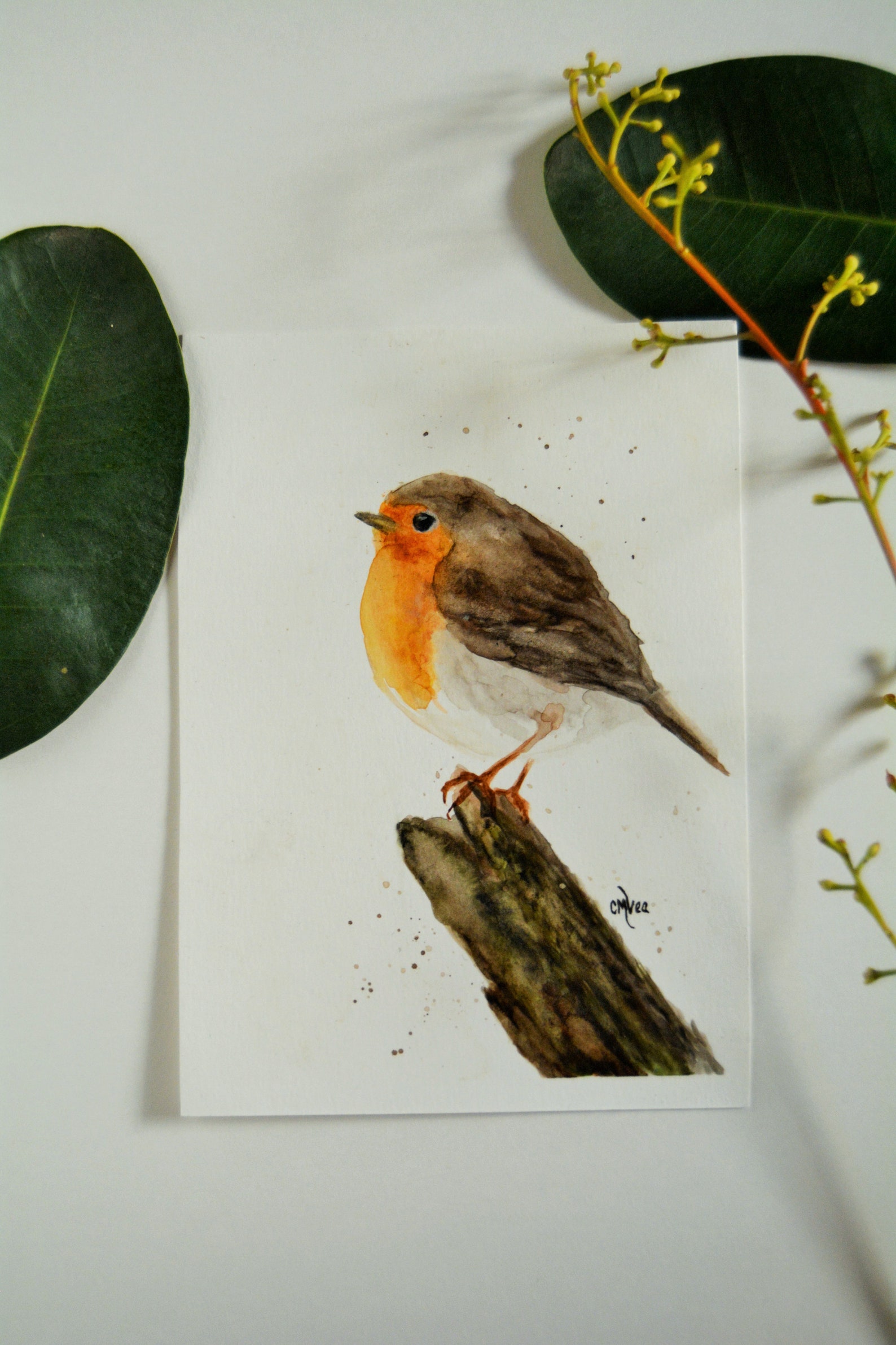 Little Robin Watercolor Painting Robin Watercolor Robin Bird | Etsy