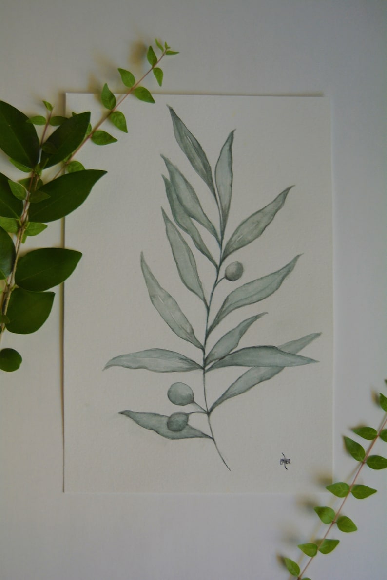 Olive Branch Watercolor Painting Original Watercolor Olive - Etsy