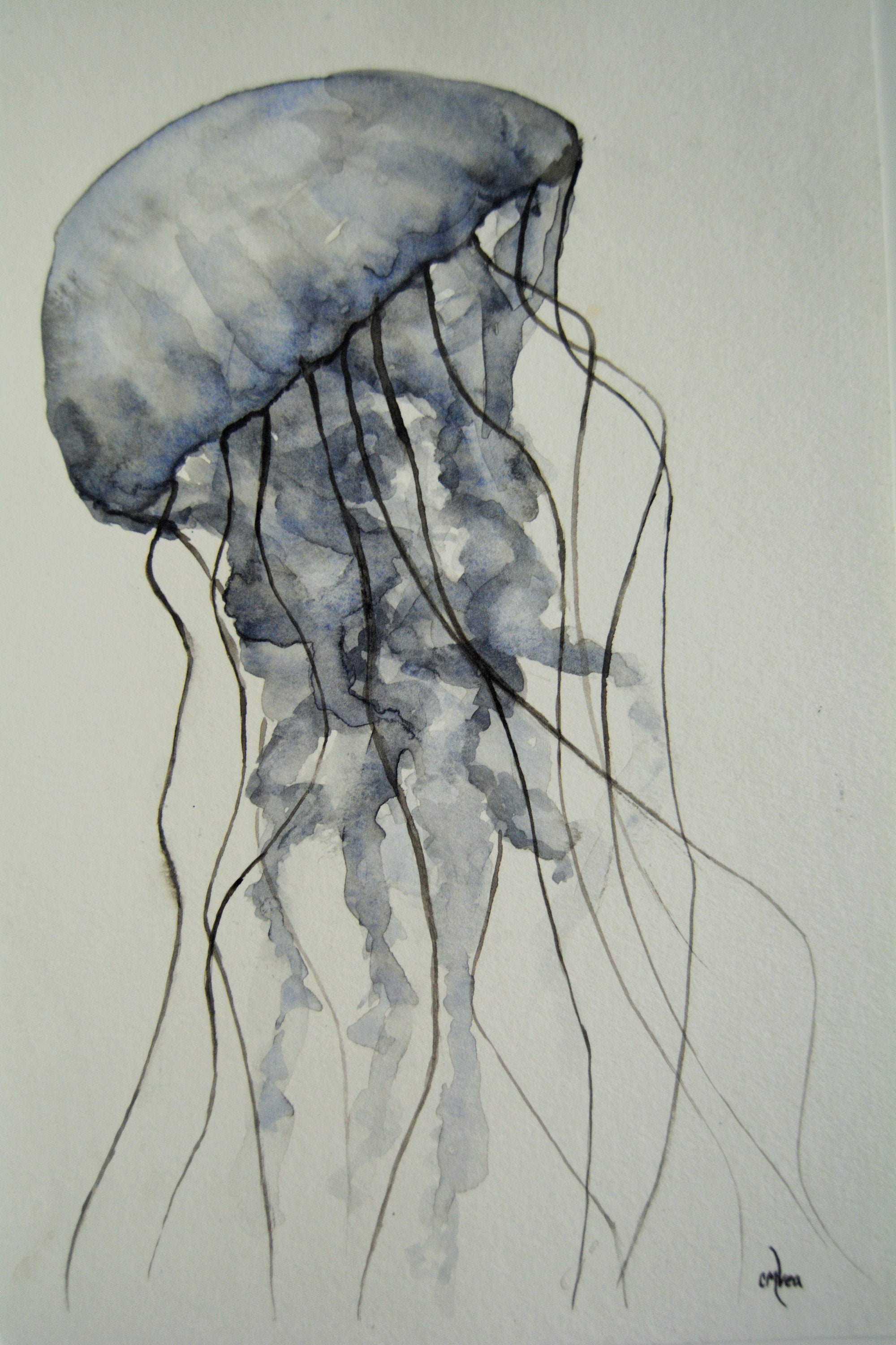 Dark Gray Jellyfish Watercolor Painting, Original Watercolor Jellyfish ...