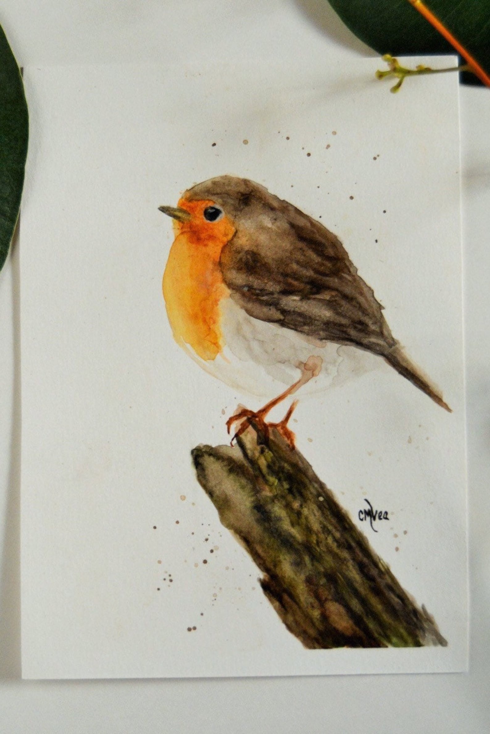 Little Robin Watercolor Painting Robin Watercolor Robin Bird - Etsy