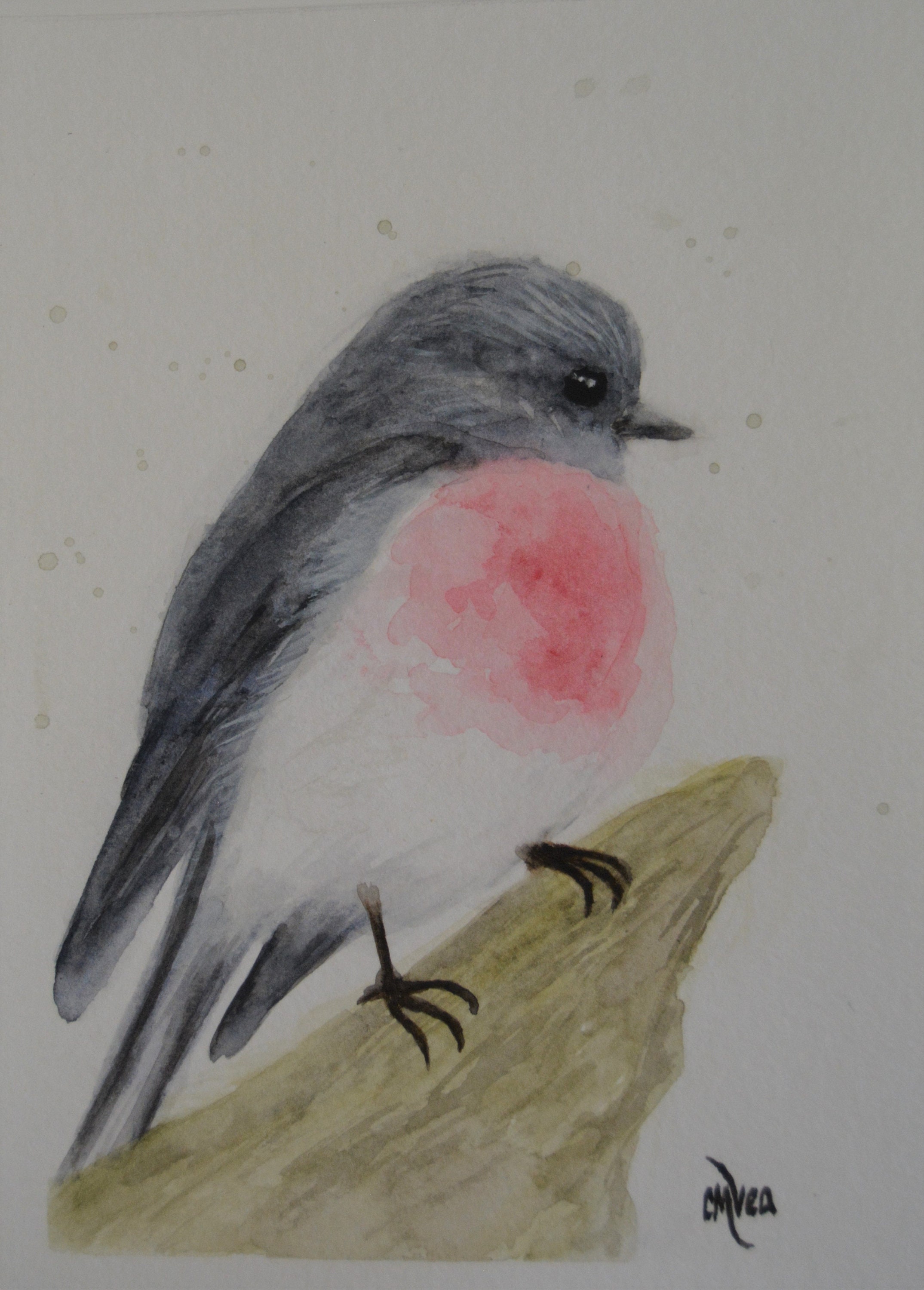 Rose Robin Watercolor Painting, Watercolor Robin, Watercolor Bird ...