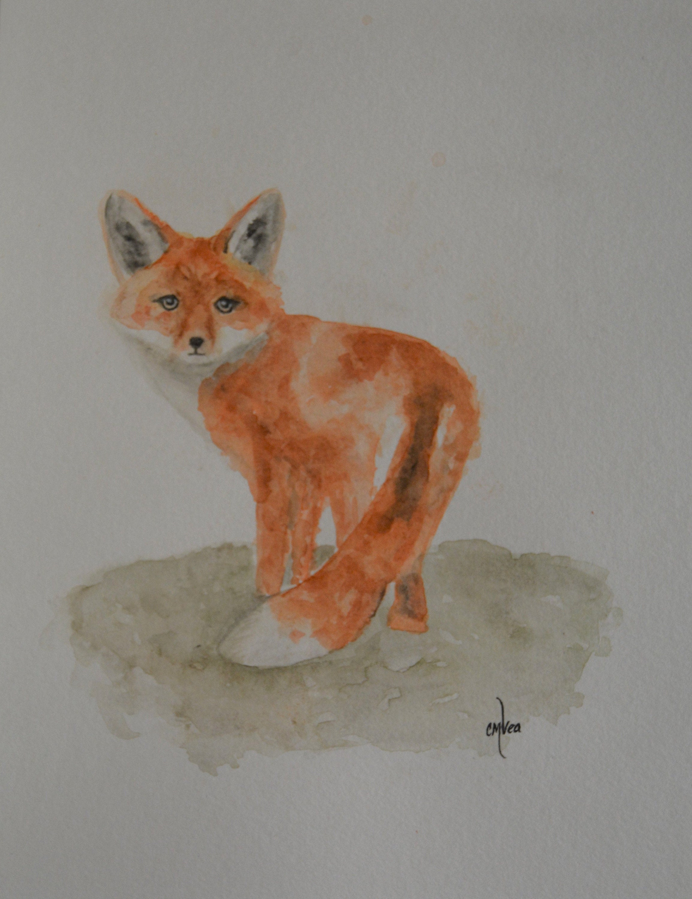 Fox Watercolor Painting Watercolor Fox Painting Woodland - Etsy
