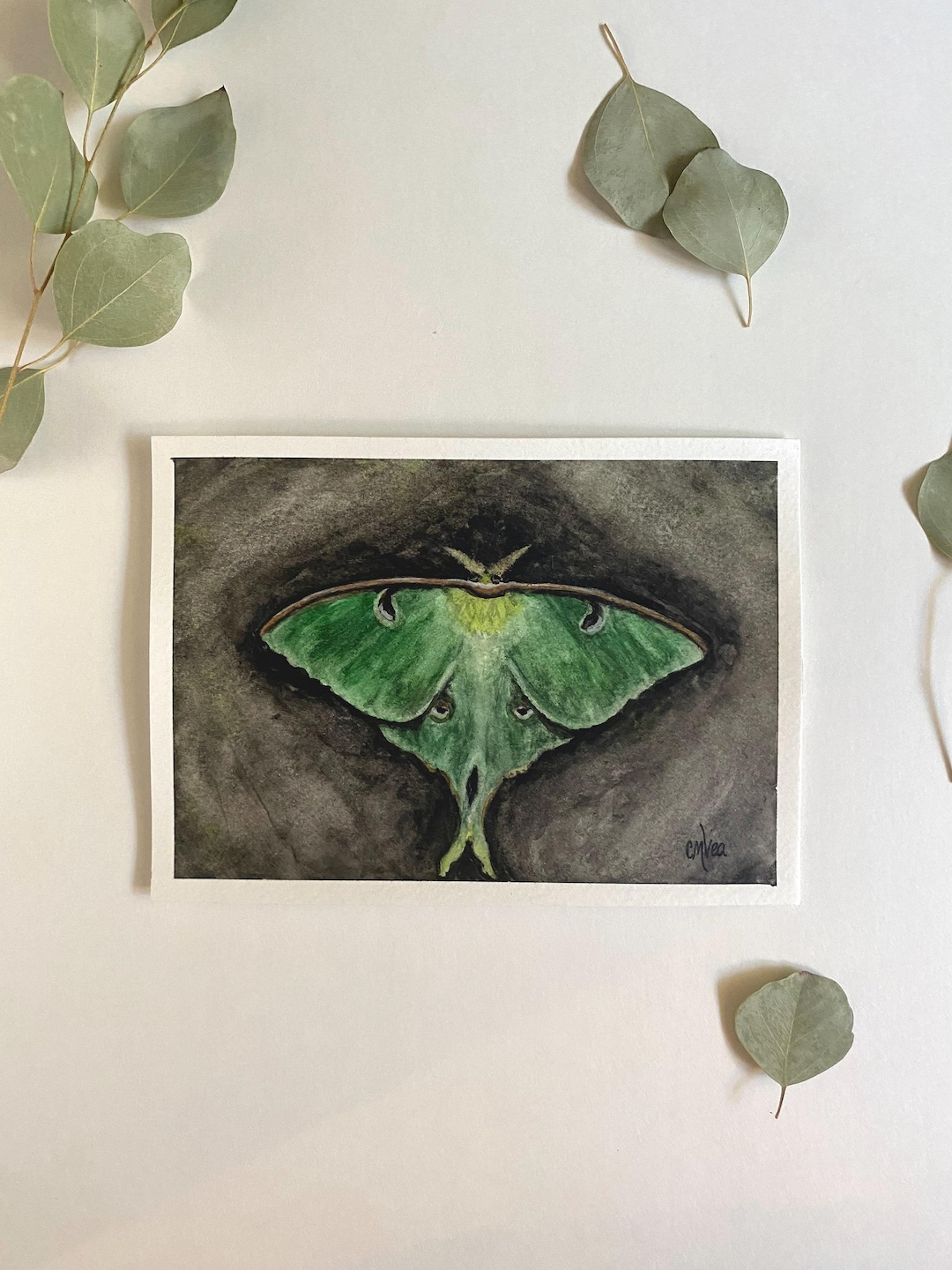 Dark Luna Moth Watercolor Painting, Moody Moth Painting, Moth Painting ...