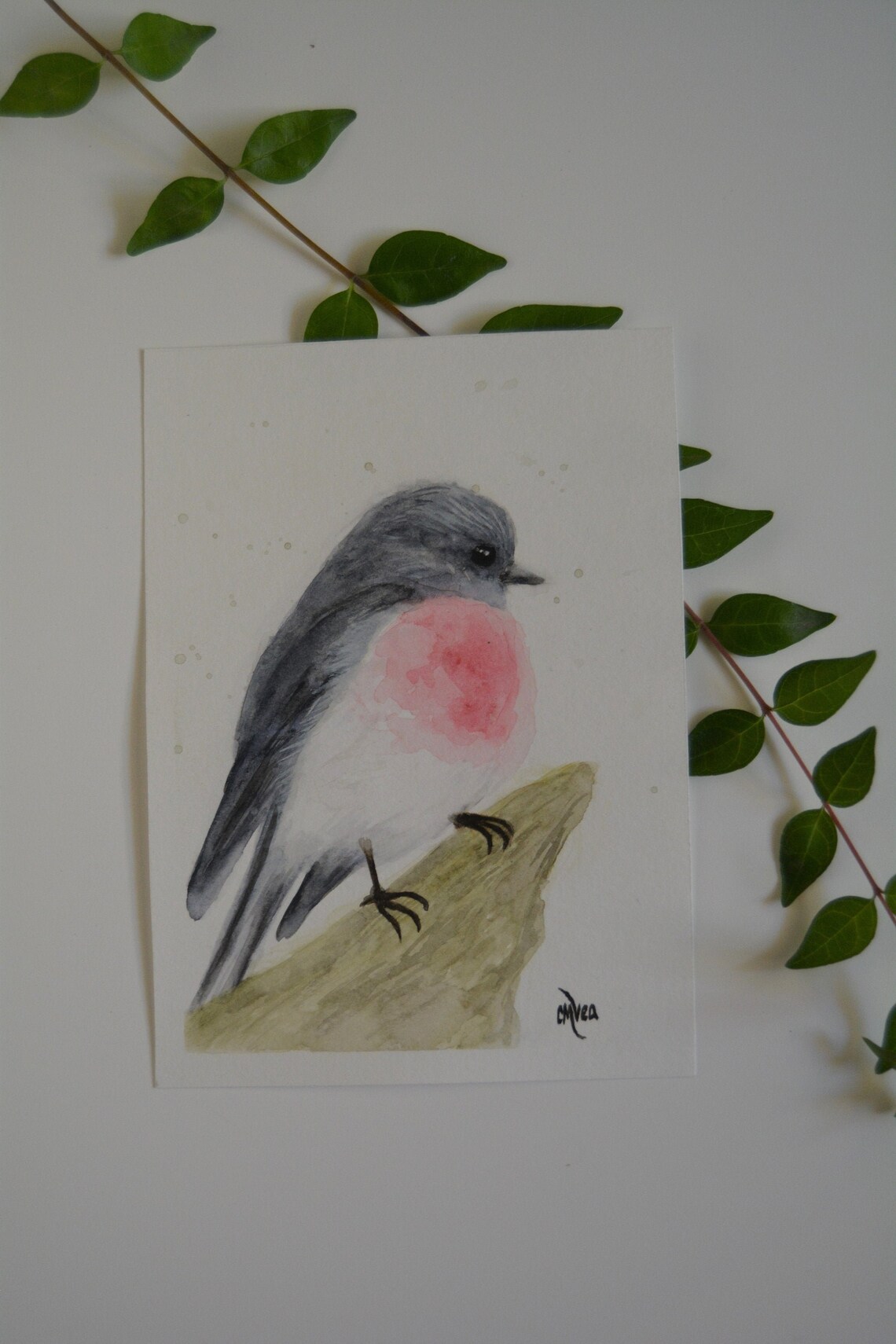 Rose Robin Watercolor Painting, Watercolor Robin, Watercolor Bird ...