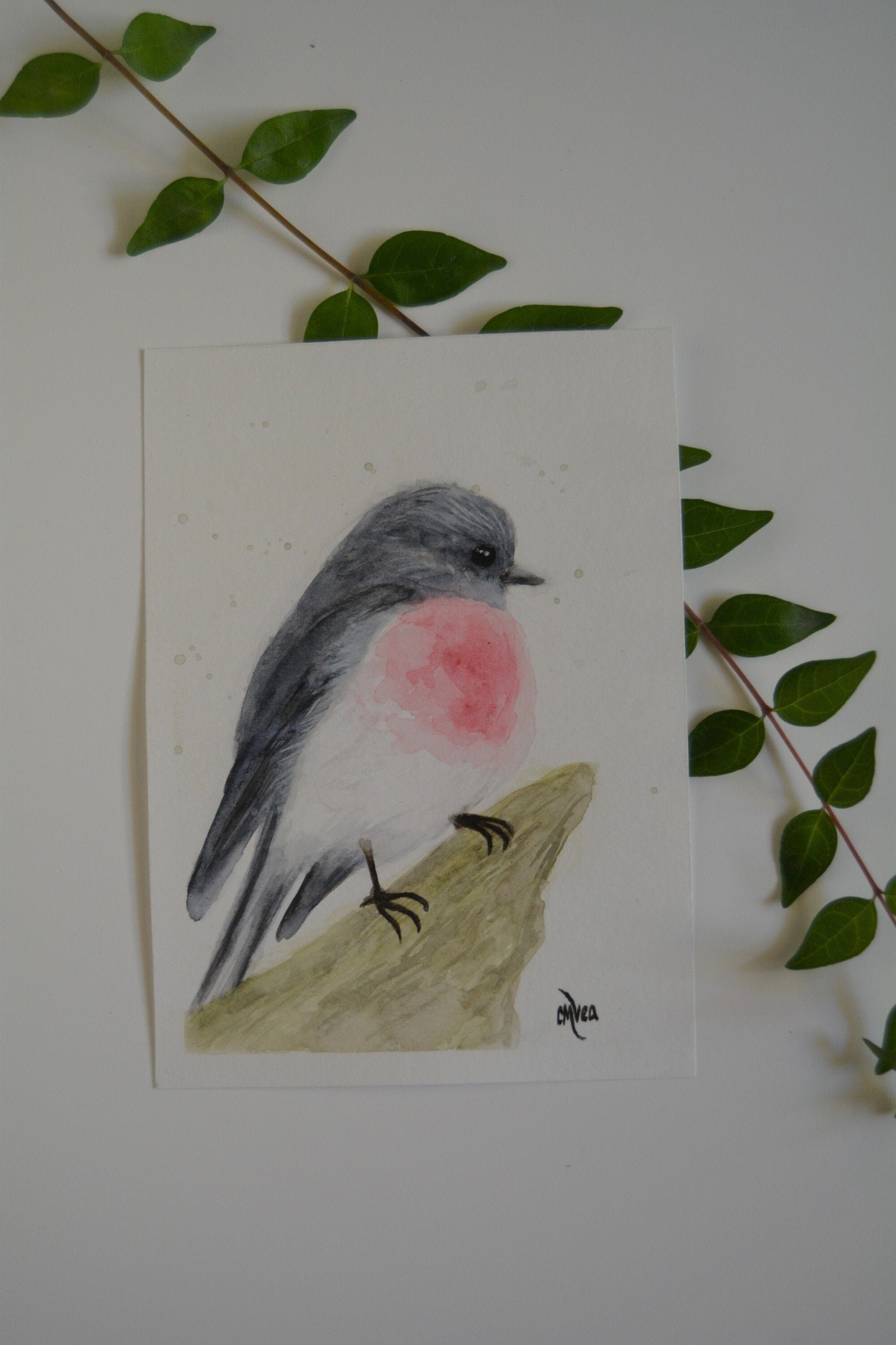 Rose Robin Watercolor Painting, Watercolor Robin, Watercolor Bird ...