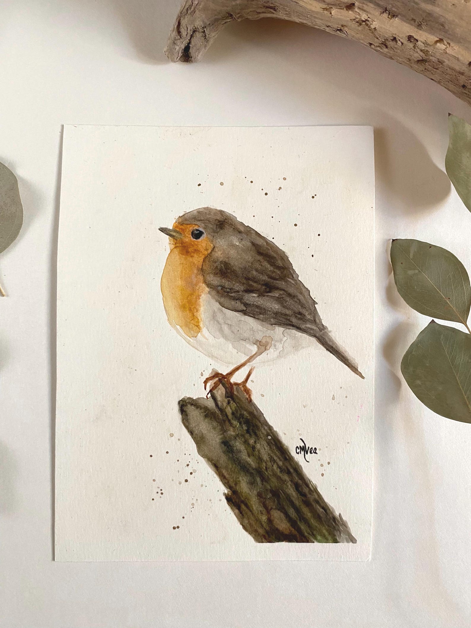 Little Robin Watercolor Painting, Robin Watercolor, Robin Bird Painting ...