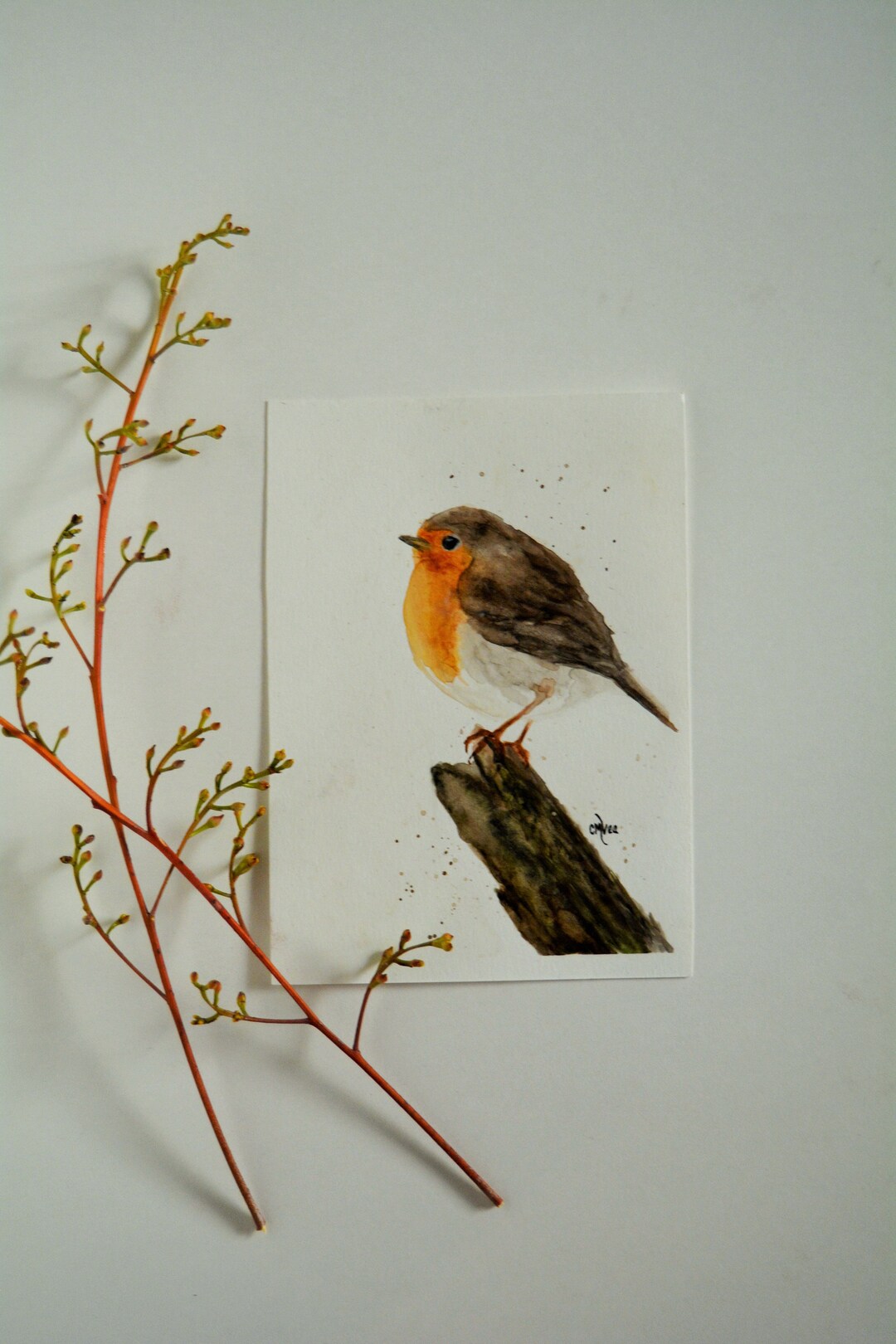 Little Robin Watercolor Painting Robin Watercolor Robin Bird - Etsy