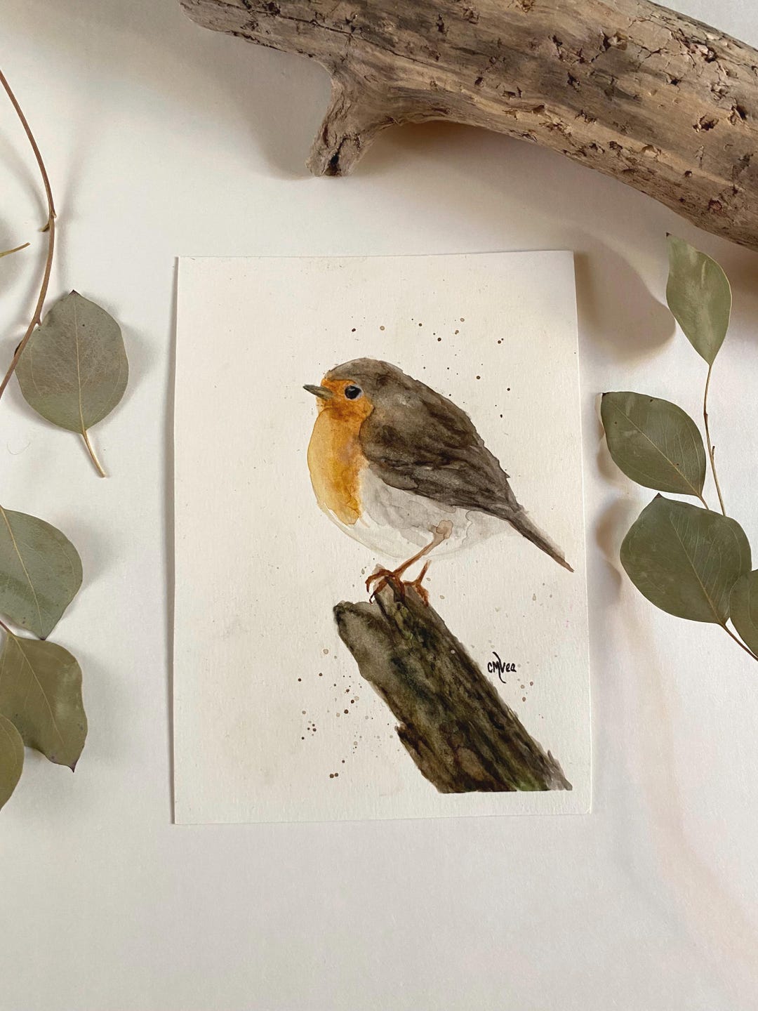 Little Robin Watercolor Painting, Robin Watercolor, Robin Bird Painting ...