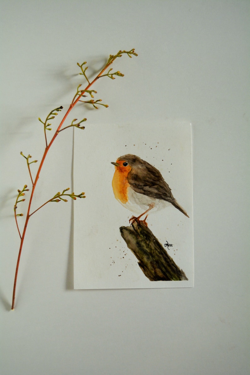 Little Robin Watercolor Painting Robin Watercolor Robin Bird - Etsy