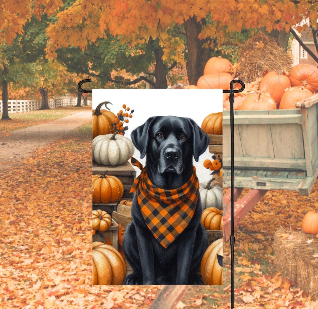 Black Labrador Retriever Double-sided Garden Flag Fall Pumpkins Decor ...