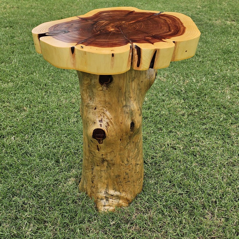 Stump Side Table - Etsy