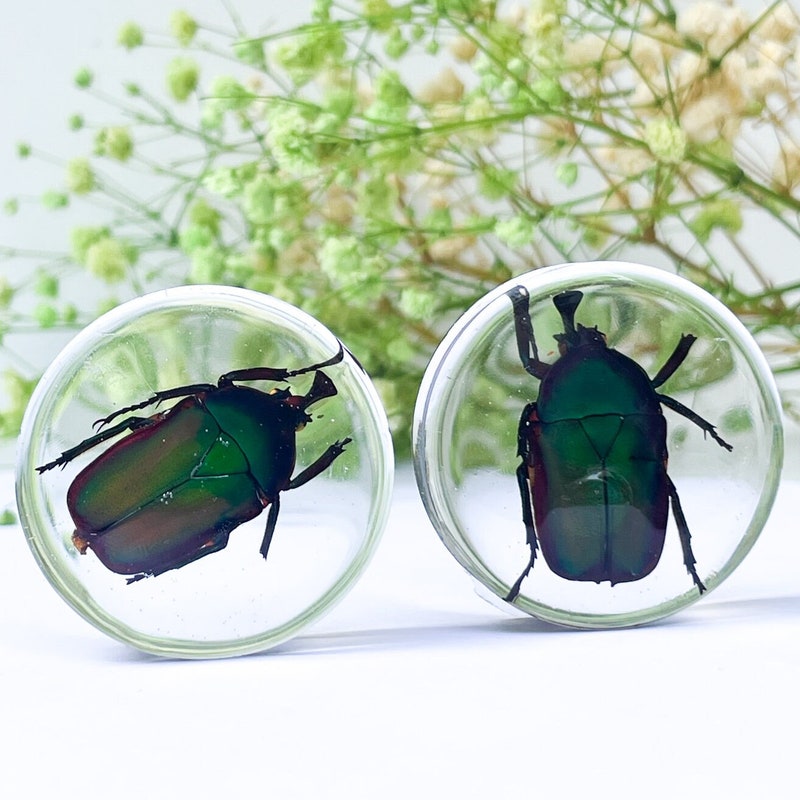 Real Bug - Etsy