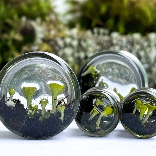 Sterling Silver Minimalist Round Dot Black Enamel Stud - Etsy