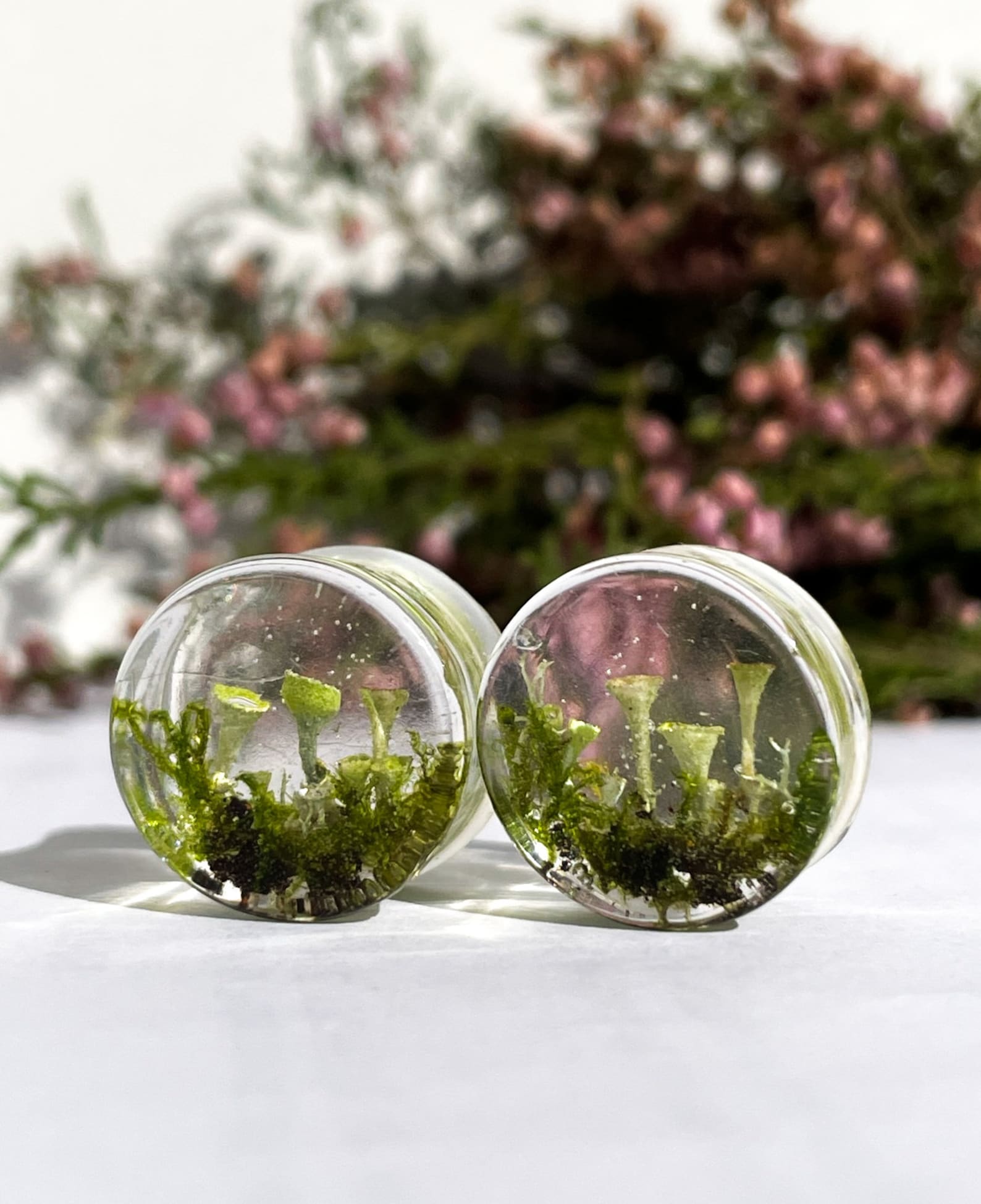 Real Moss Transparent mushroom Plugs Nature Tunnels Real - Etsy