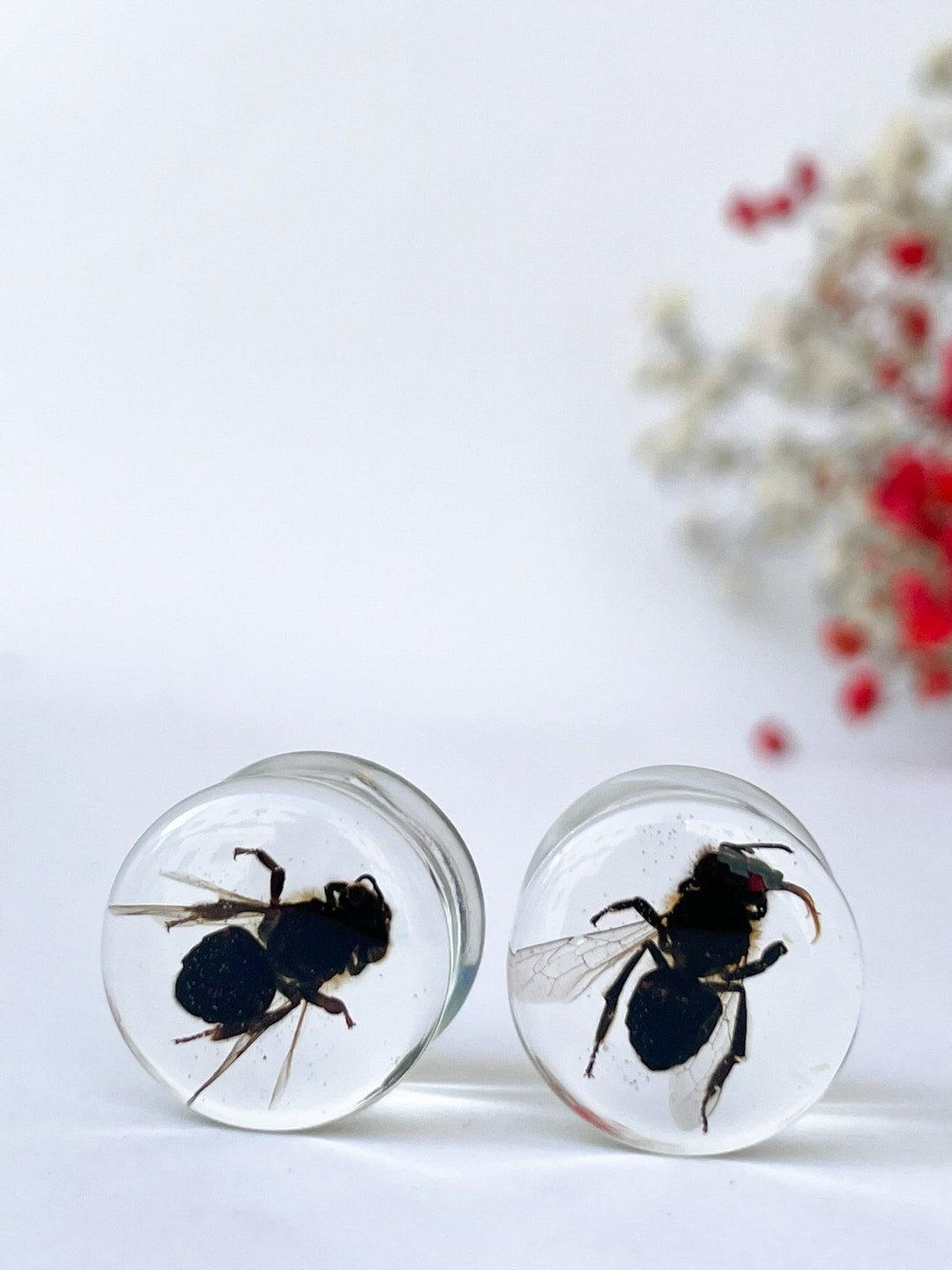 Real Honey Bee Plug, Real Insect Plug, Fly Plug, Honey Bee Gauge, Gift ...