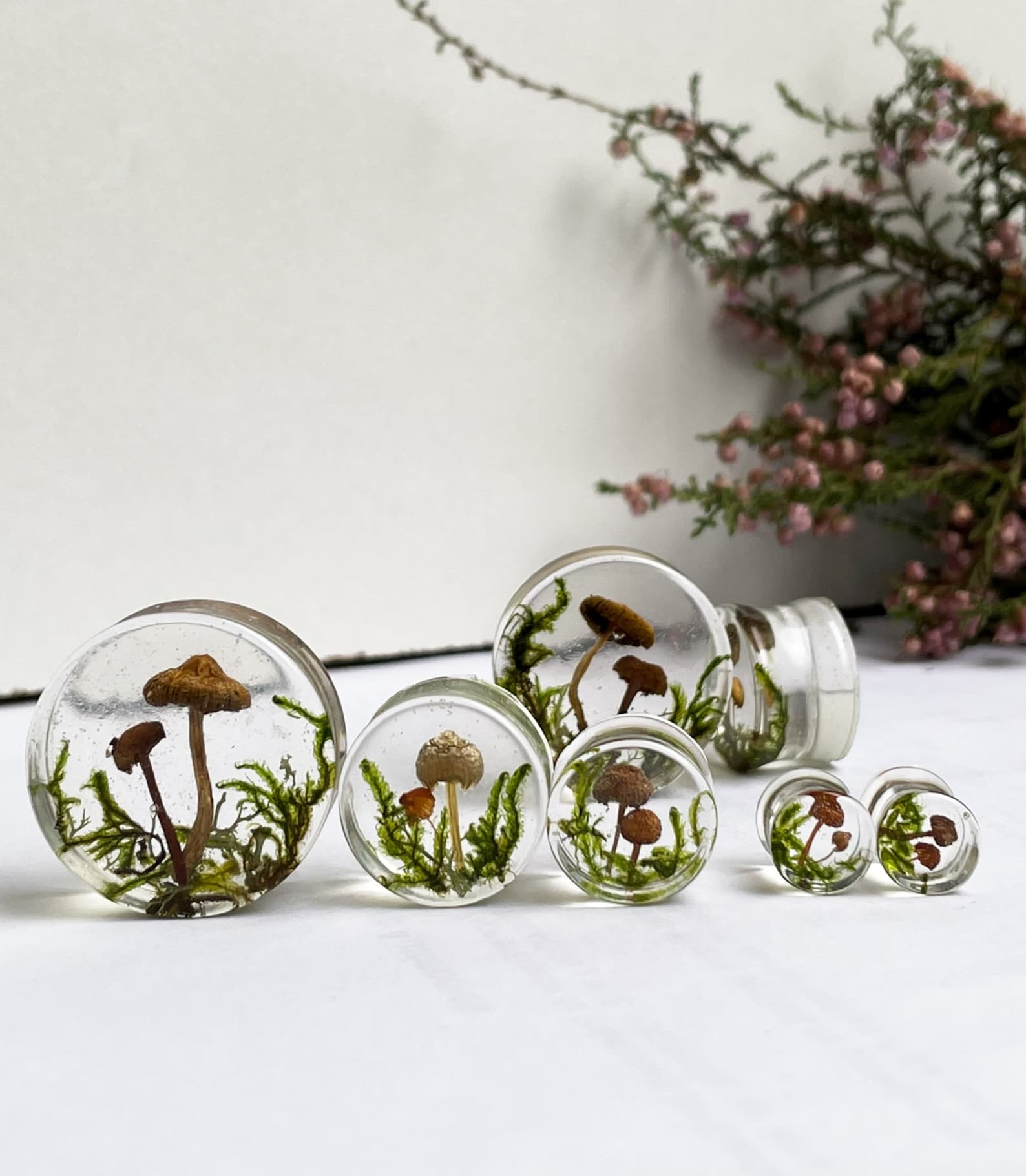 Natural Moss Mushroom Gauges, Real Plug, Mushroom Plug, Real Mushroom ...