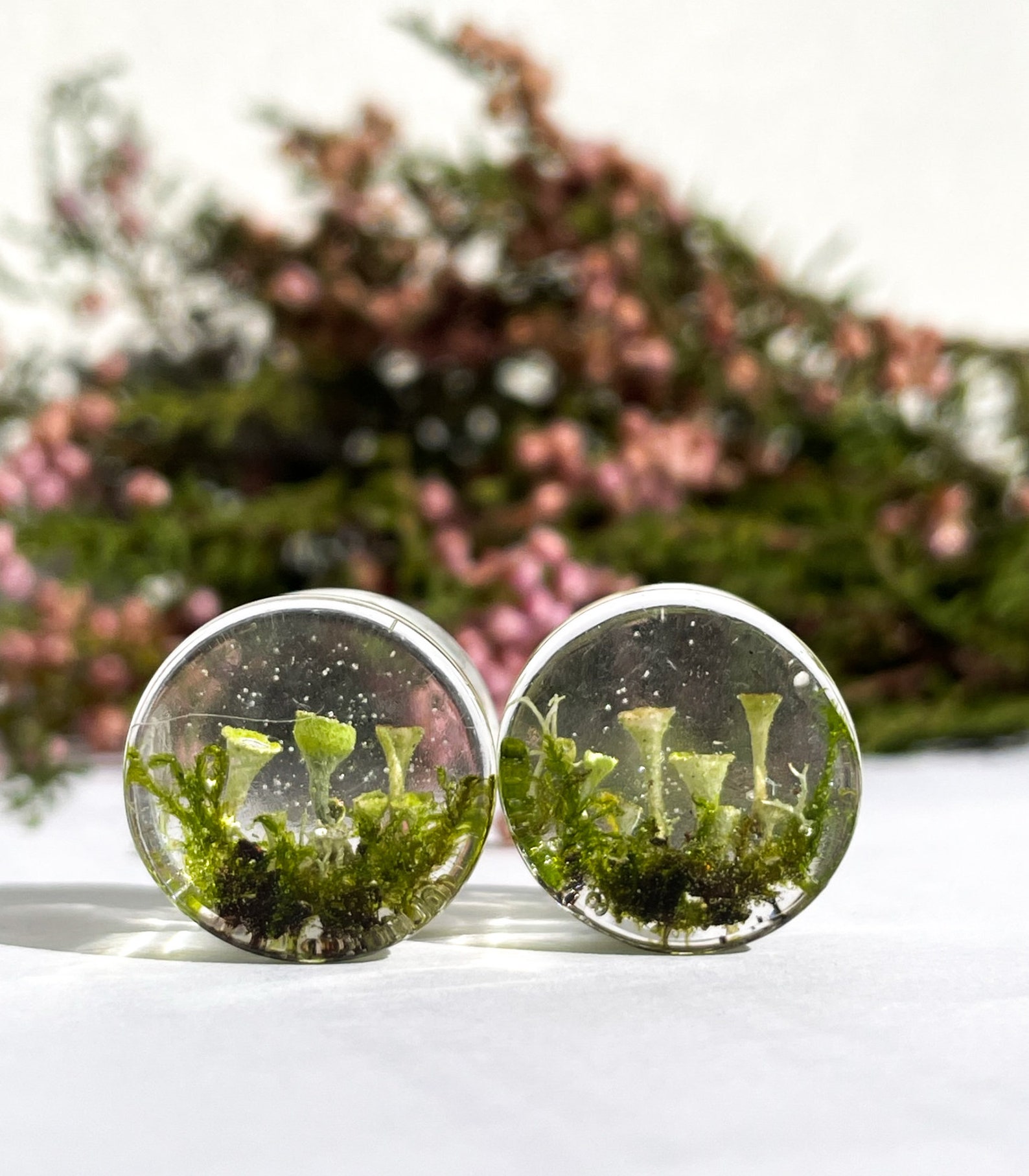 Real Moss Transparent mushroom Plugs Nature Tunnels Real - Etsy