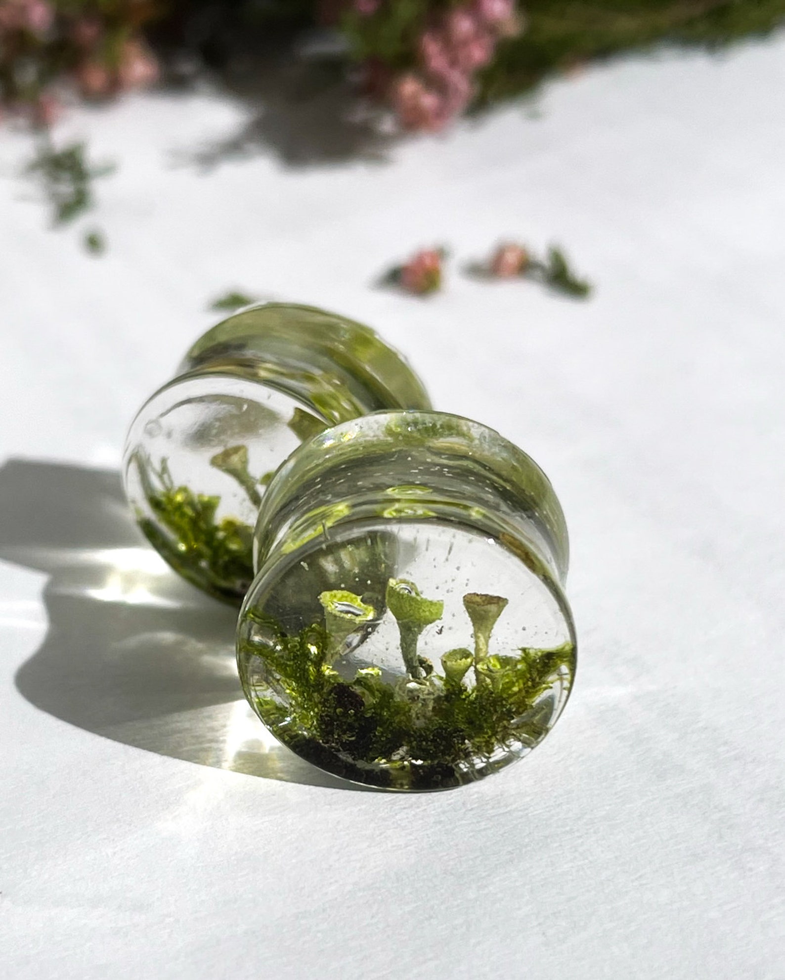 Real Moss Transparent mushroom Plugs Nature Tunnels Real - Etsy