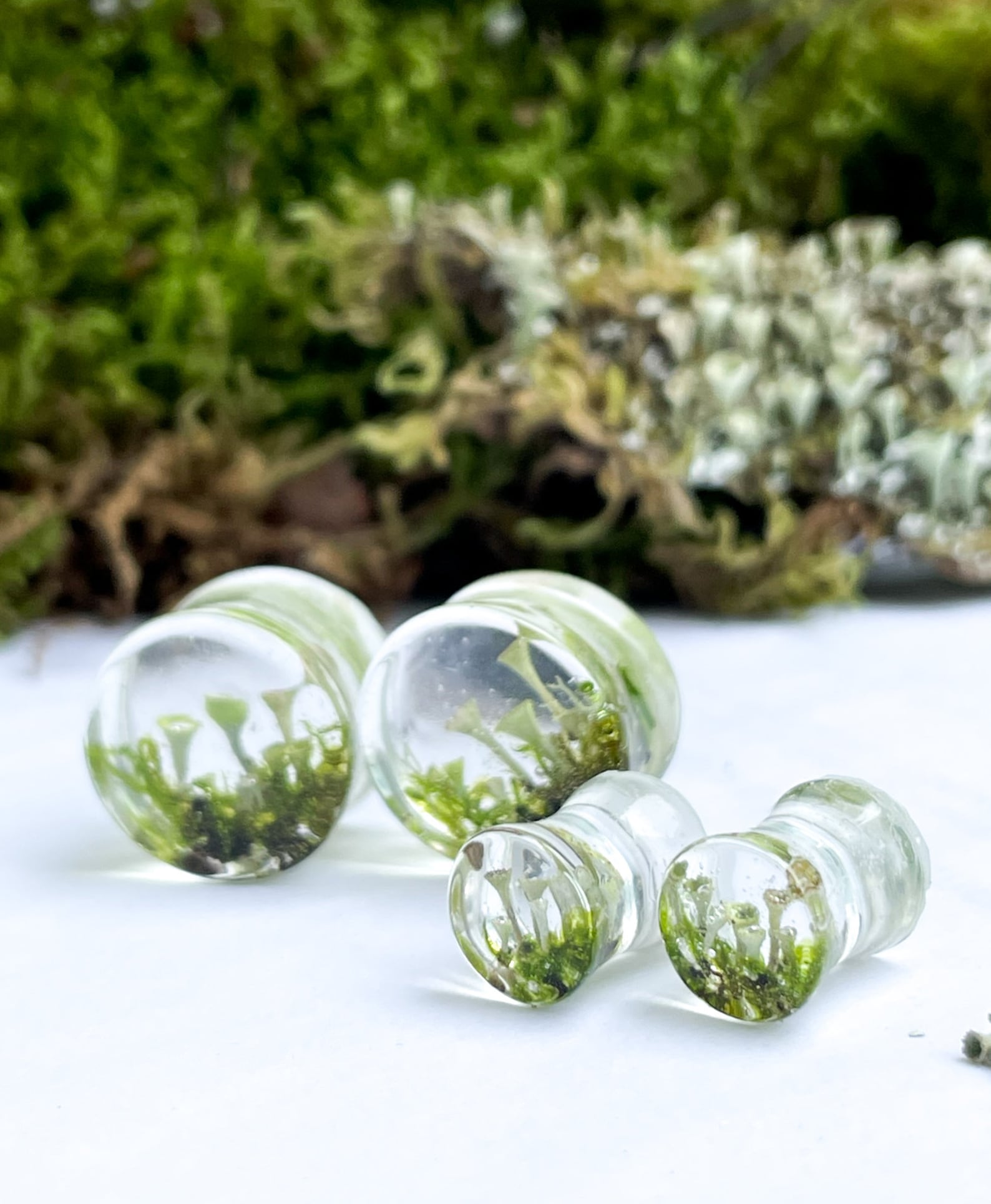 Real Moss Transparent mushroom Plugs Nature Tunnels Real - Etsy