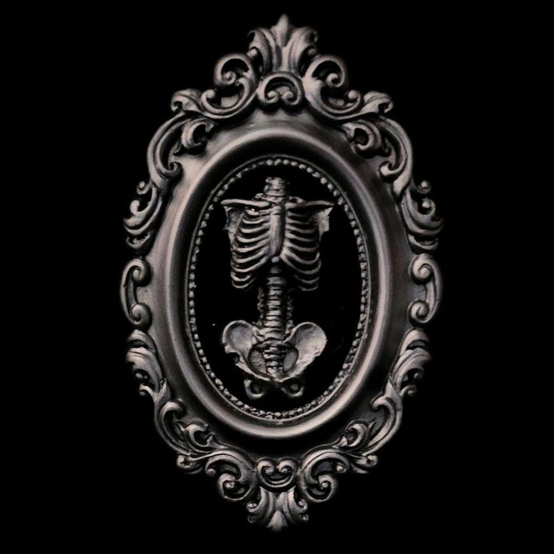 Black Hand Cast Skeleton Torso, Rib Cage, in a Black Oval Ornate Frame ...