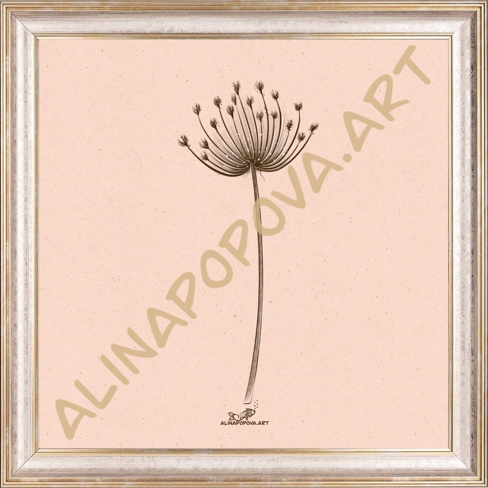 Dry Cow Parsnip, Plant, Floral Printable Wall Art, Graphic Botanical ...