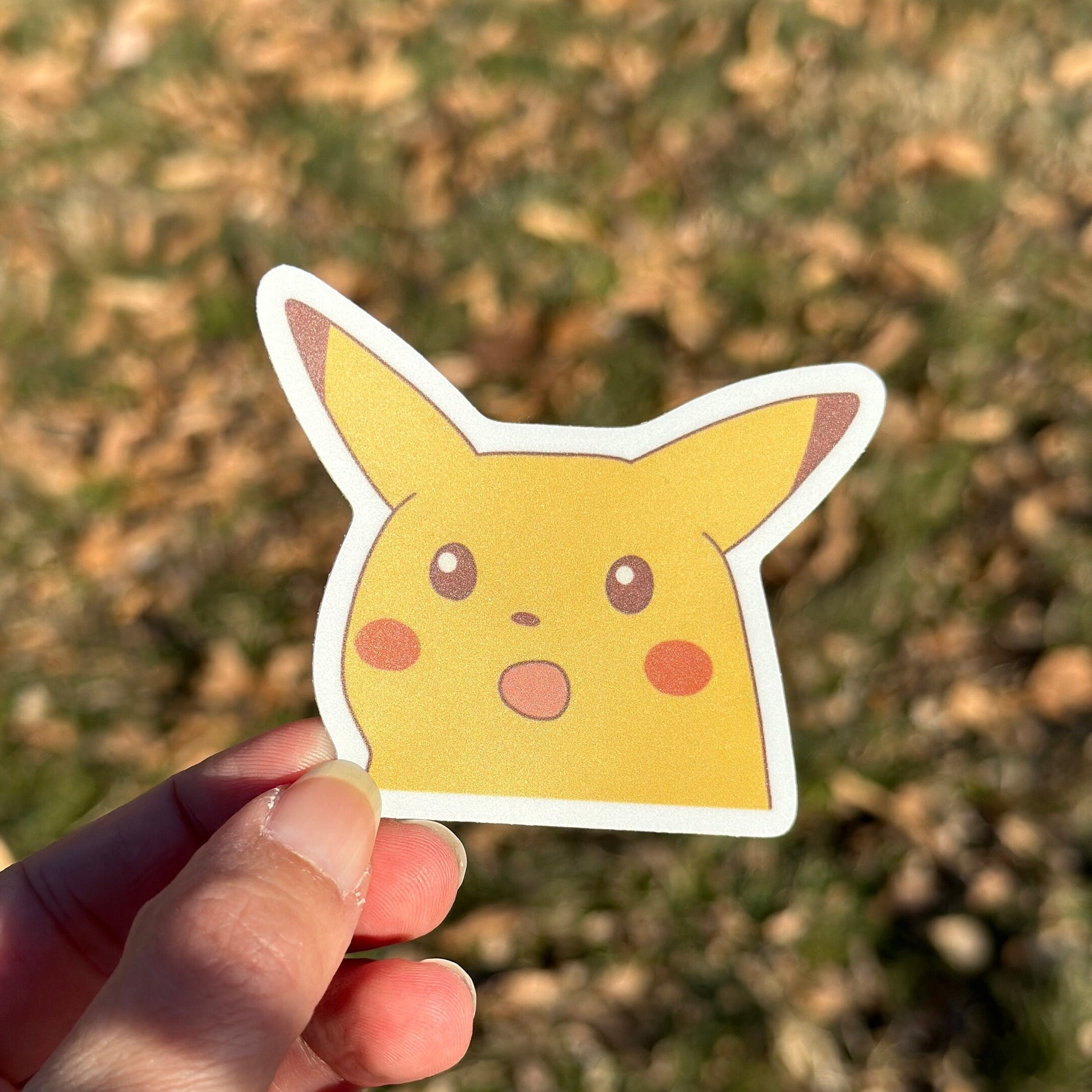 2-pack Surprised Meme Sticker Matte Vinyl Sticker, Meme Sticker ...