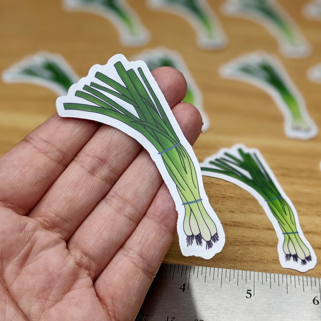 Scallion Sticker - Matte Vinyl Sticker, Green Onion Sticker, Waterproof ...