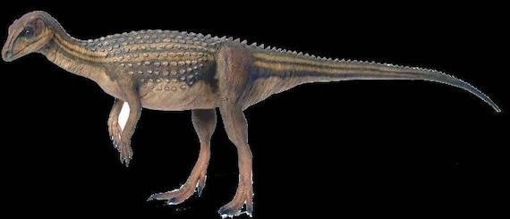 Heterodontosaurus Skeleton