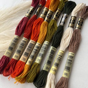 Thread Pack- Harvest Time - DMC Thread Skein Pack - DIY Embroidery ...