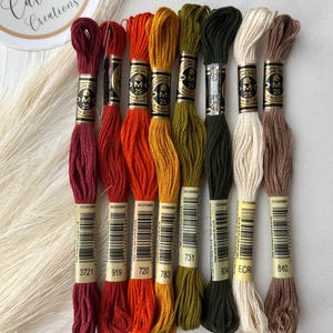 Thread Pack- Harvest Time - DMC Thread Skein Pack - DIY Embroidery ...